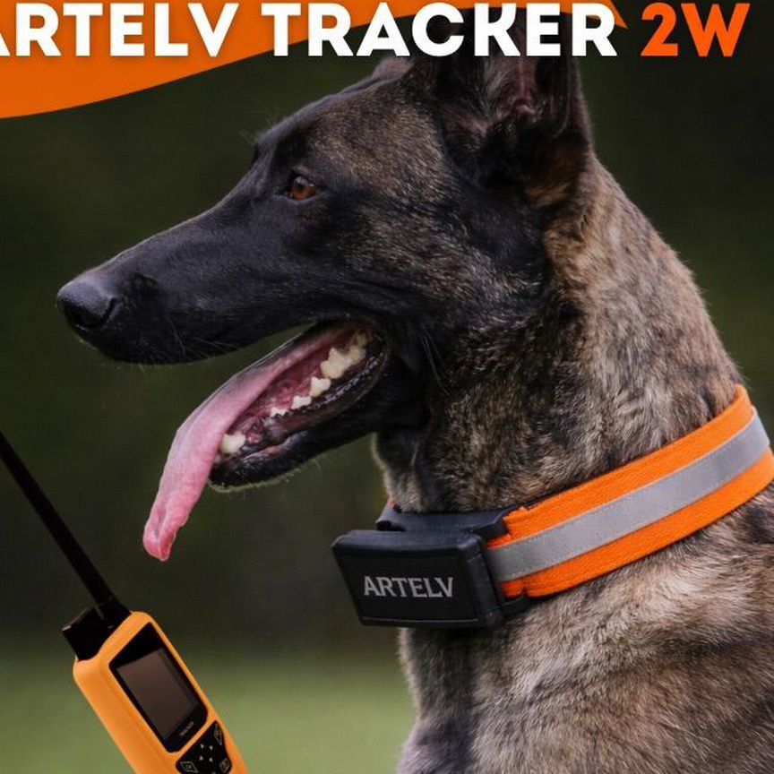 Gps ошейник artelv tracker 2w