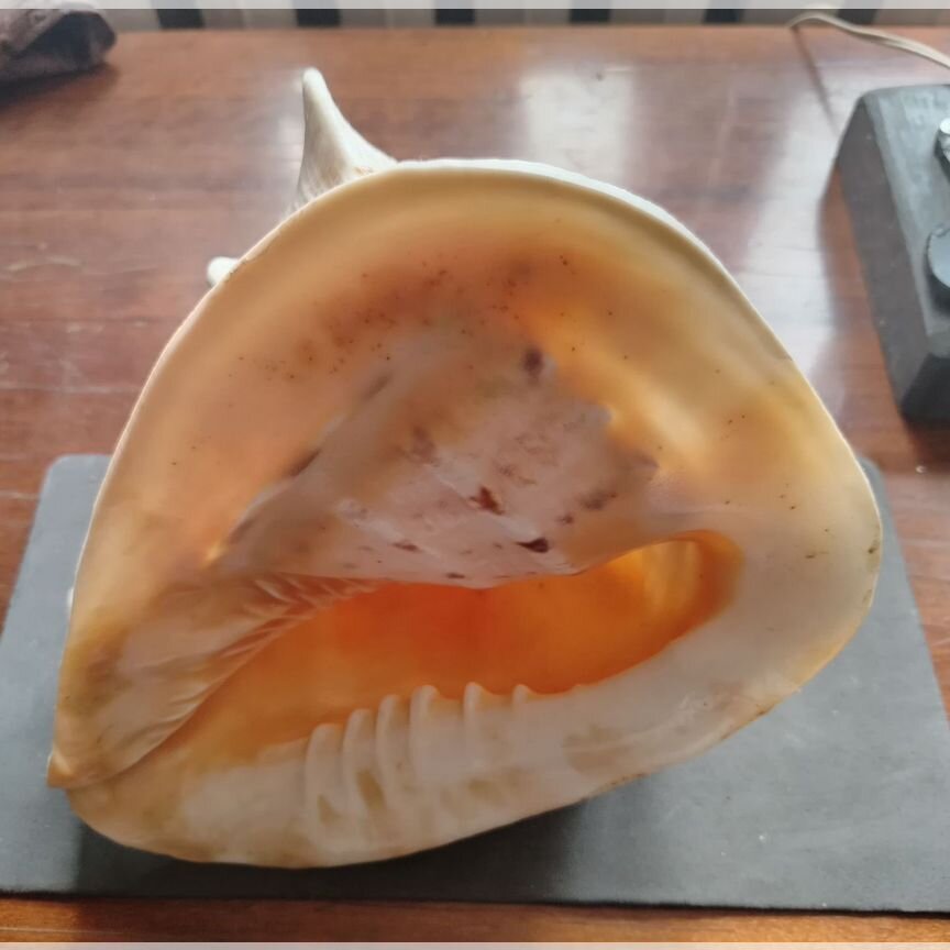 Декорации для аквариума