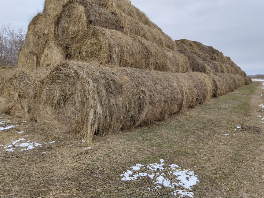 Продажа сена в тюках