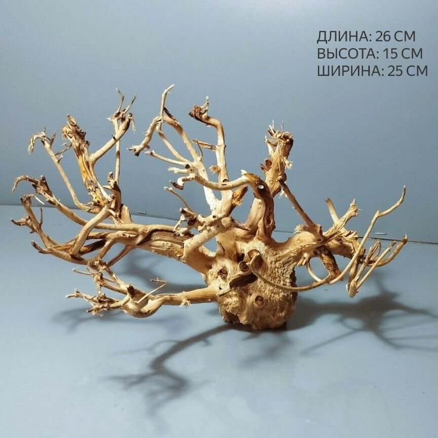 Изящная коряга-деревце для аквариума 9