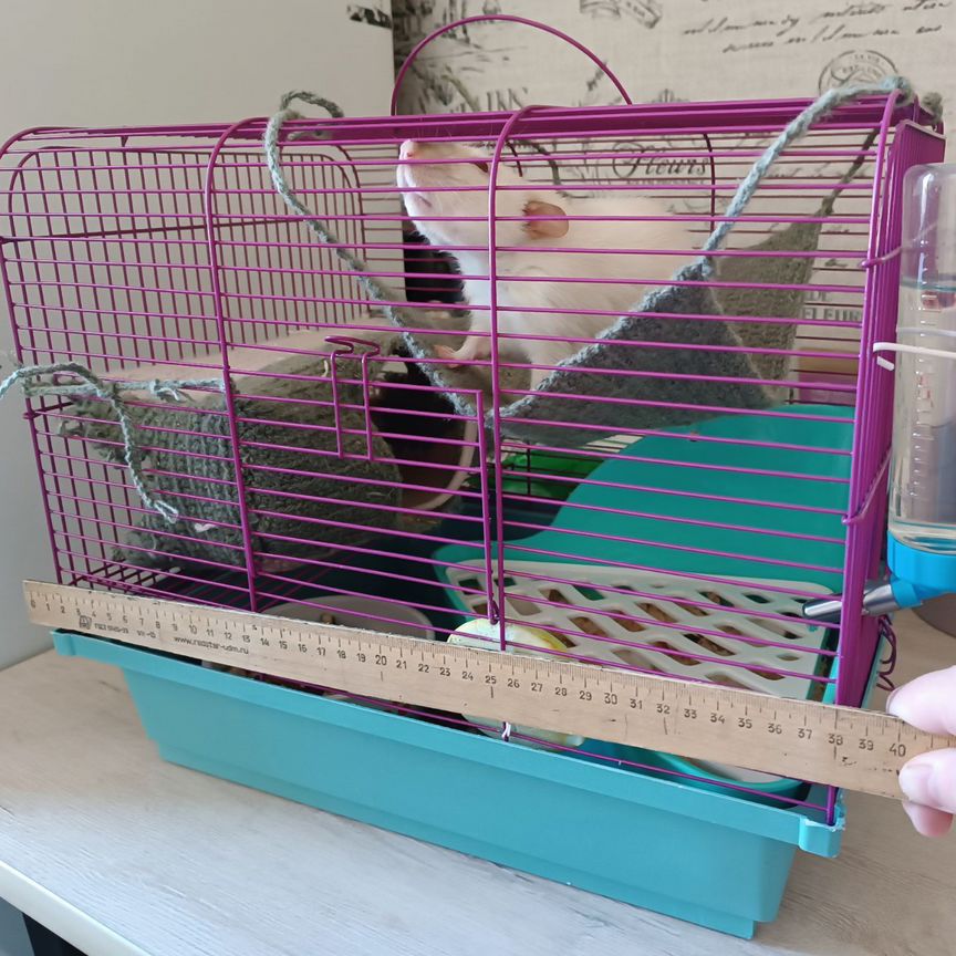 Клетка для грызунов большая бу