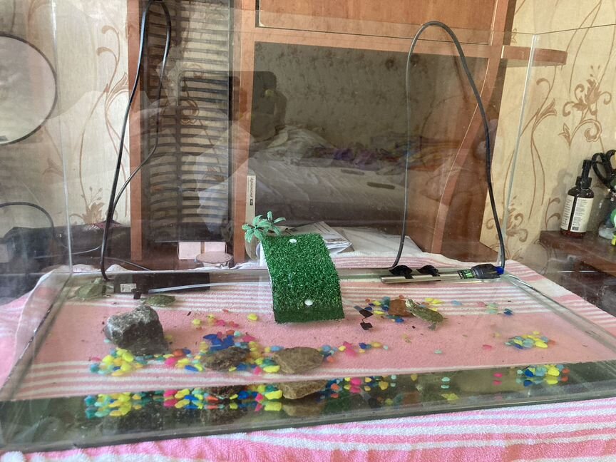 Акватеррариум с тремя черепашками