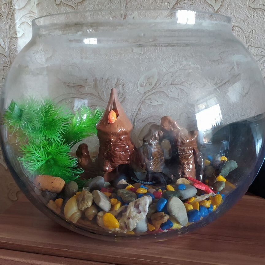 Аквариум звонить 89080735432