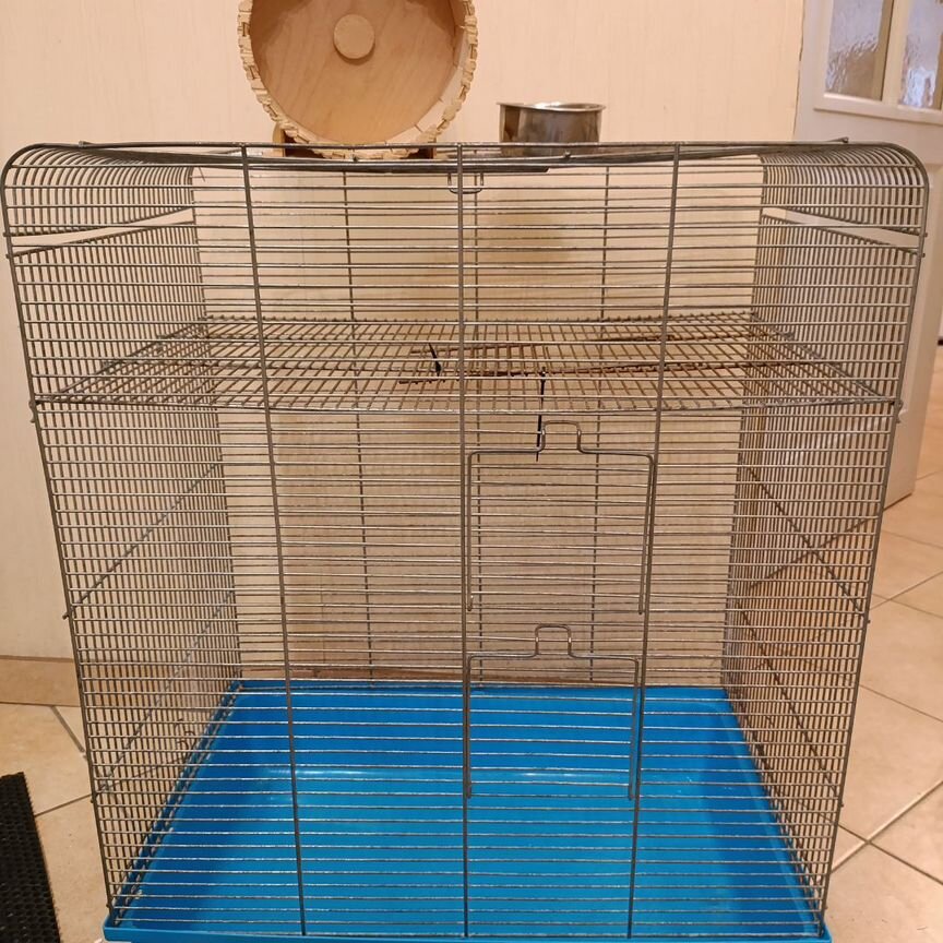Клетка