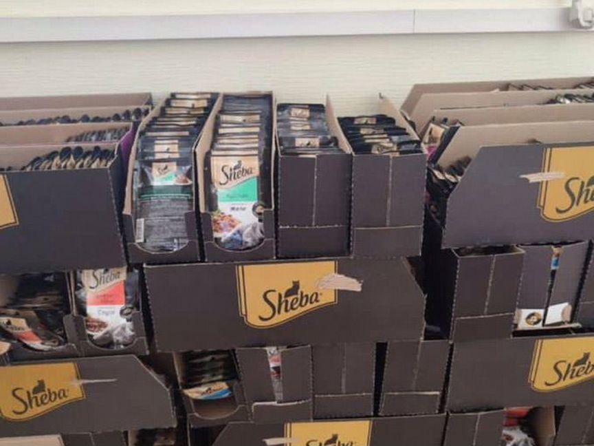 Влажный корм для кошек