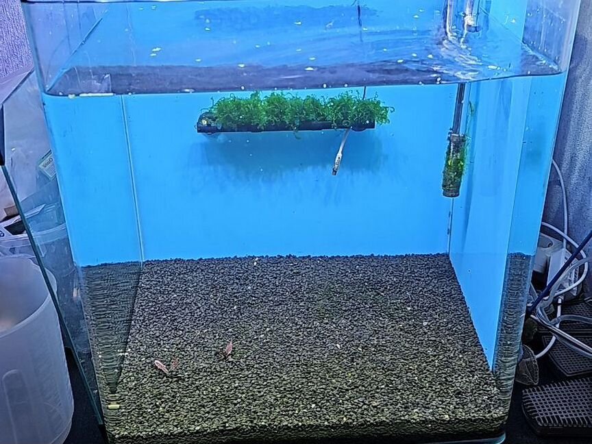 Аквариум prime 62l