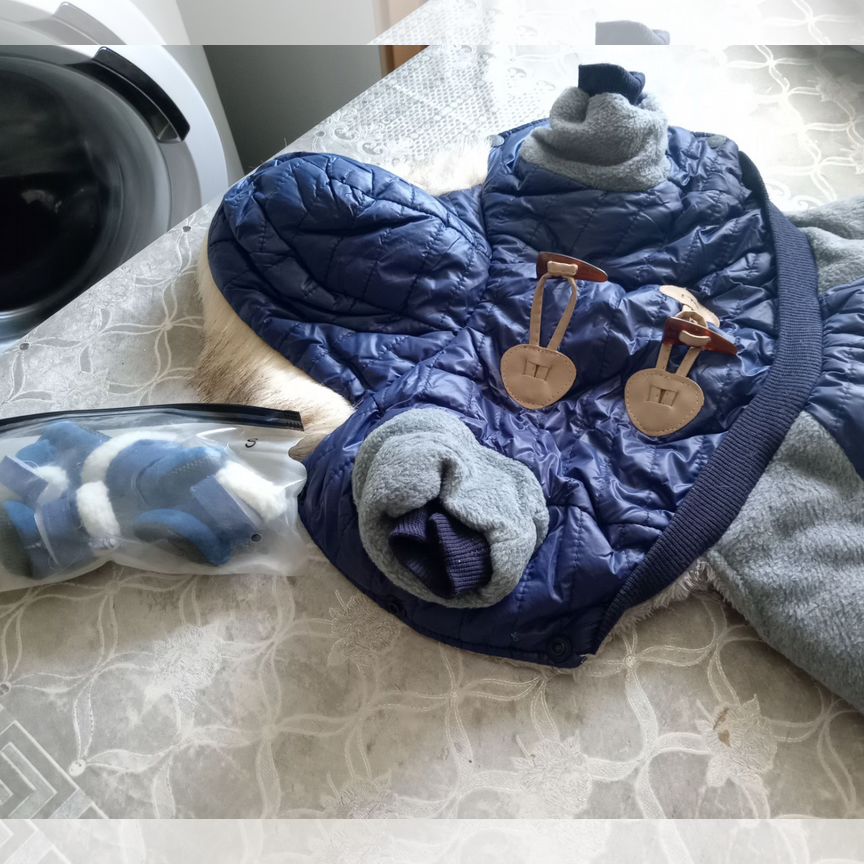 Зимний комбинезон на той-терьера