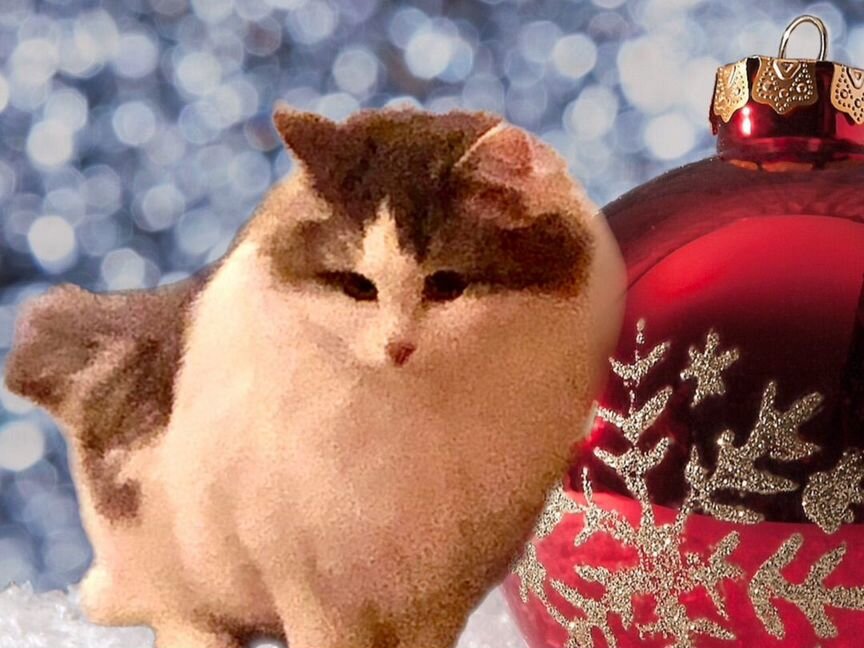 Кошечка, 6 месяцев