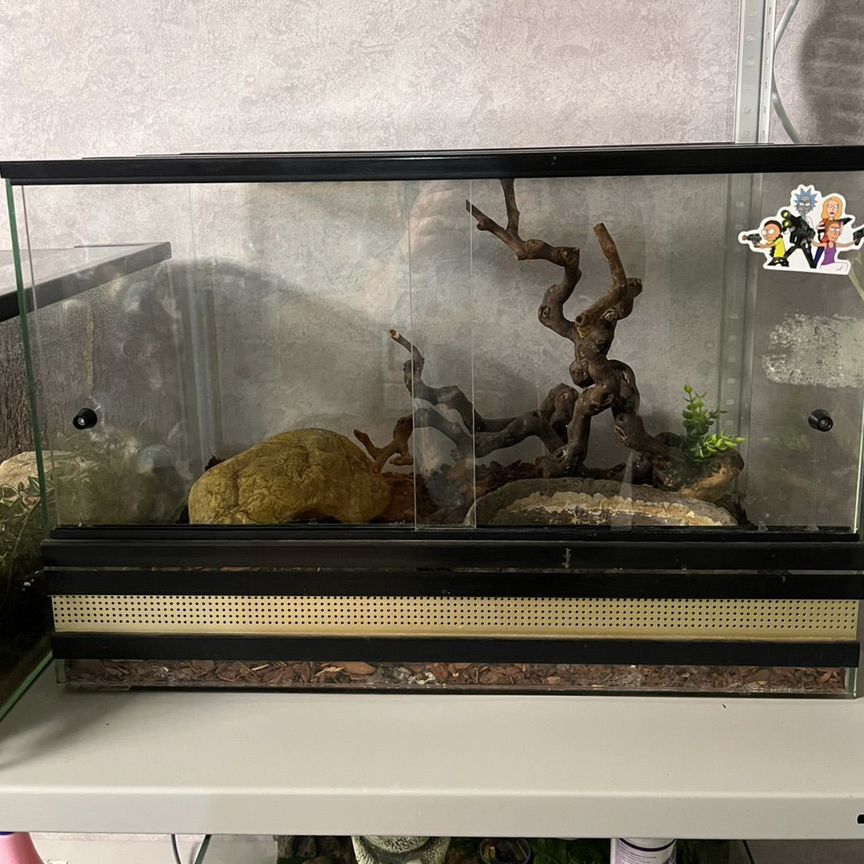 Террариумы для реатилий