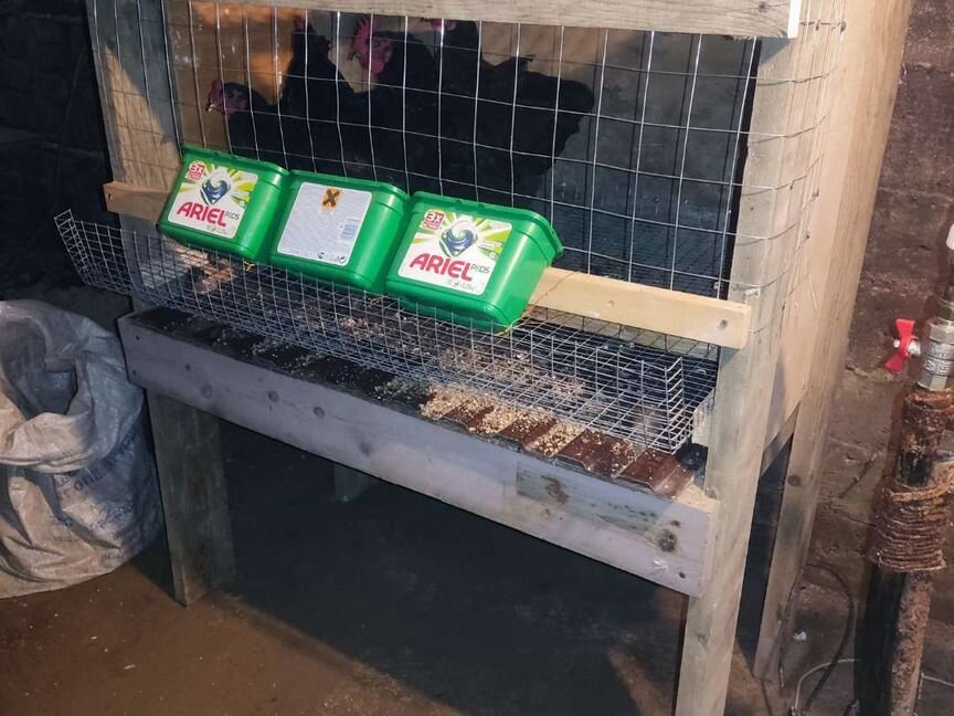 Клетка для куриц