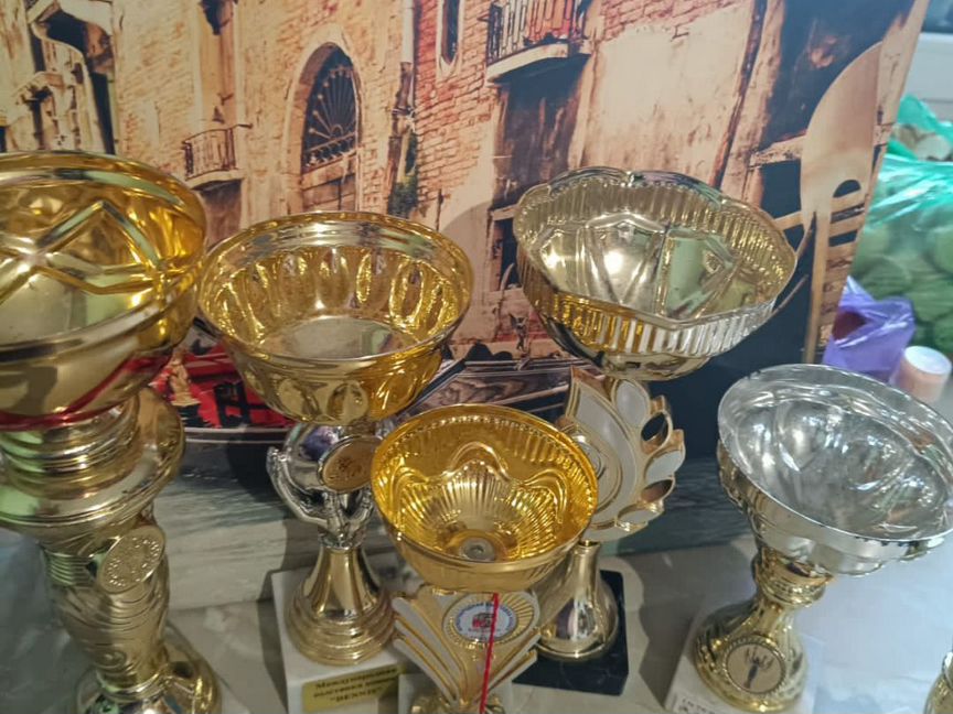 Награды для кошек