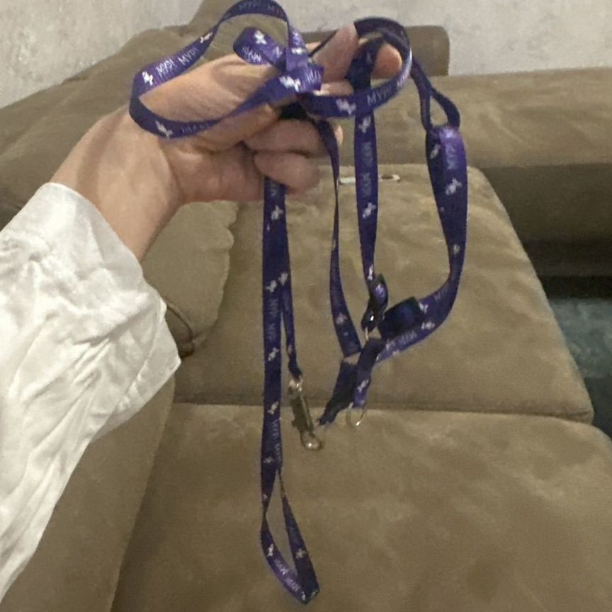 Шлейка для кошки