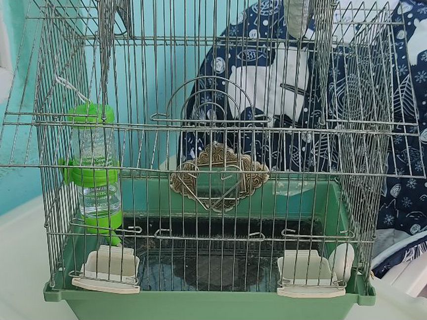 Клетка для грызунов и попугаев