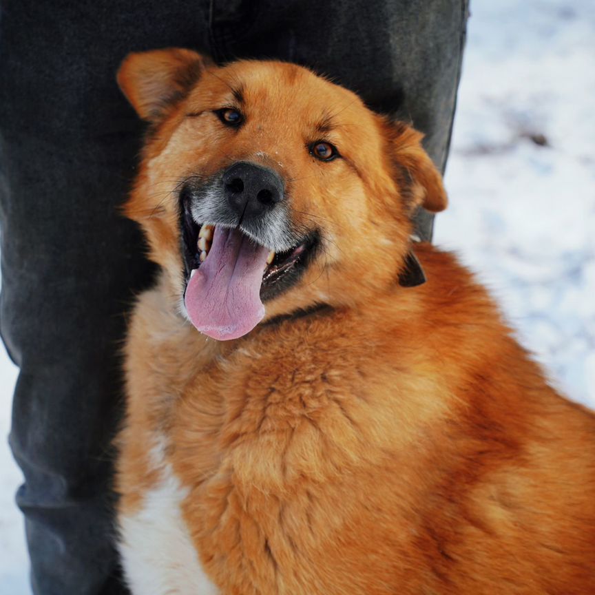 Вениамин ищет семью
