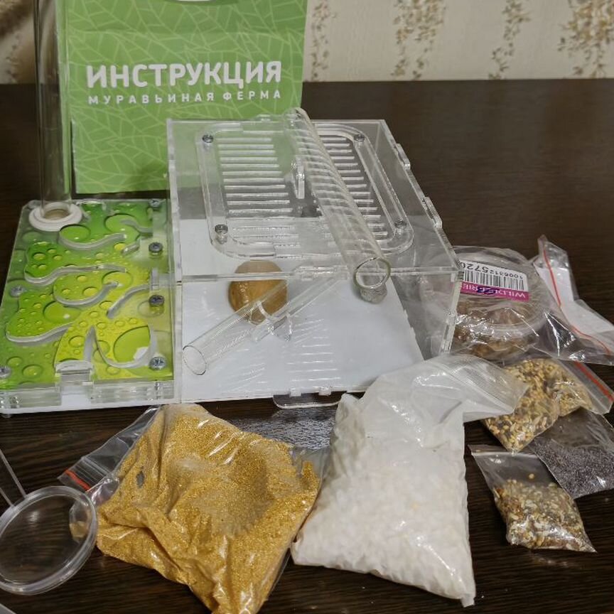 Ферма для муравьев  разный корм