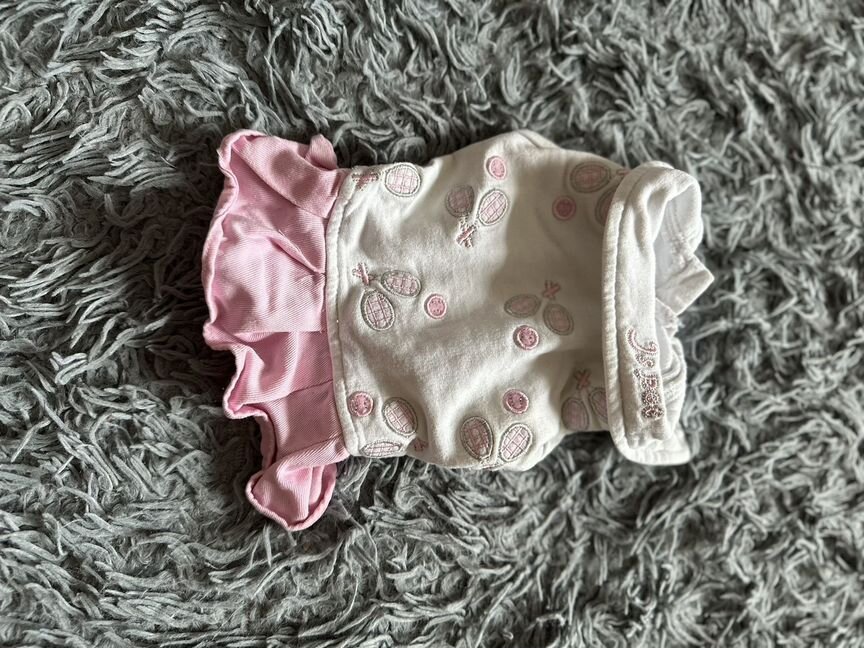 Вещи для маленьких собак