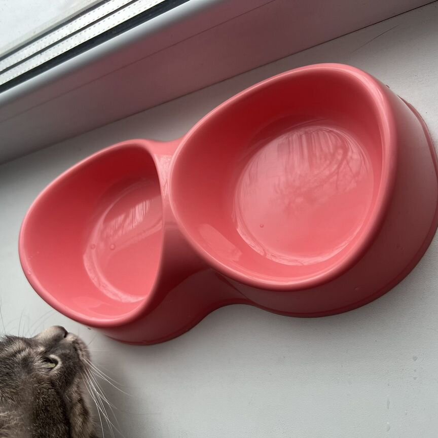Миска для кошек двойная