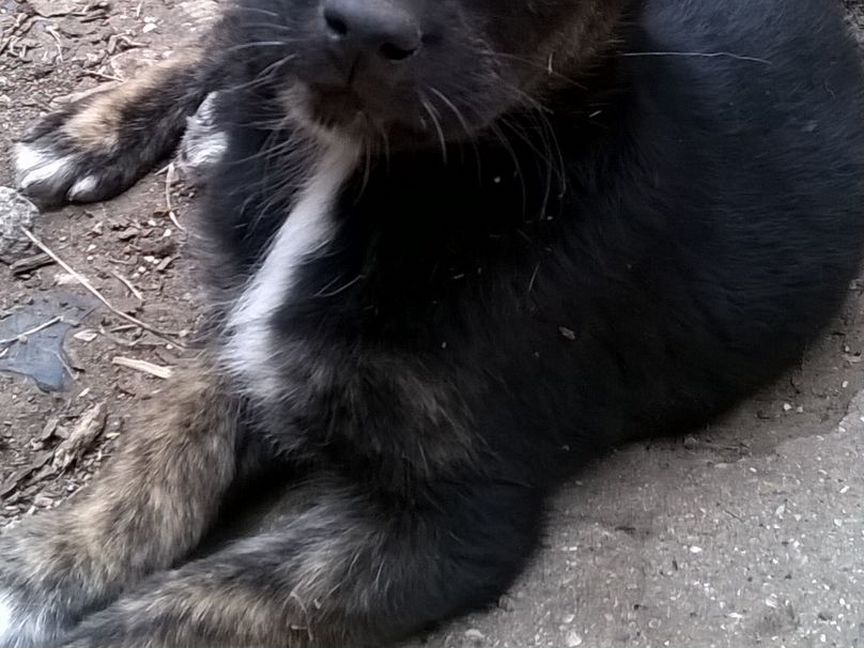 Вас ждет радость