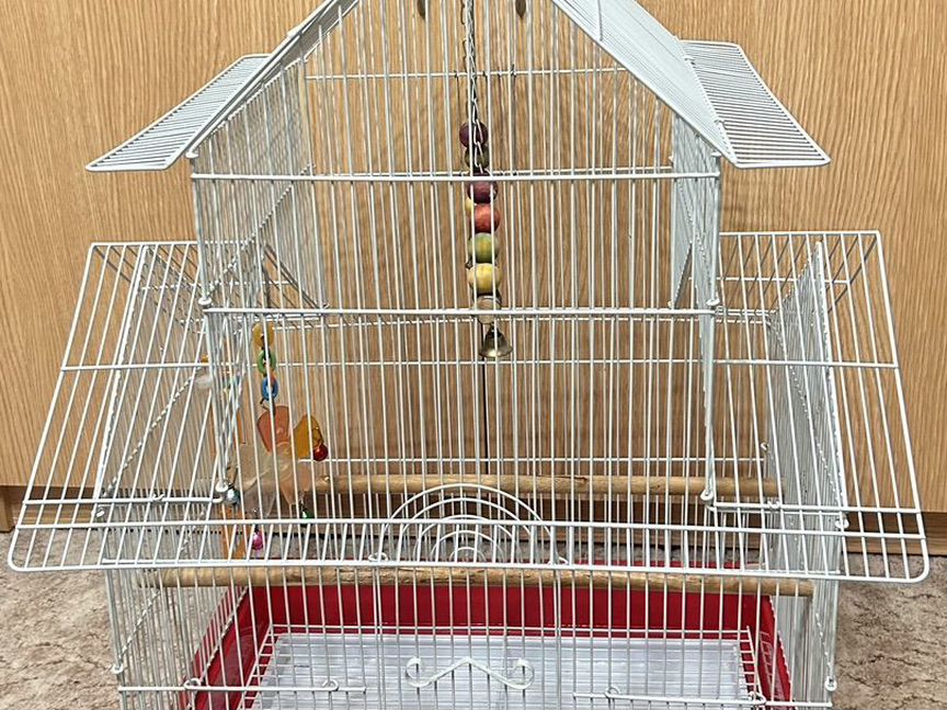 Клетка для попугая