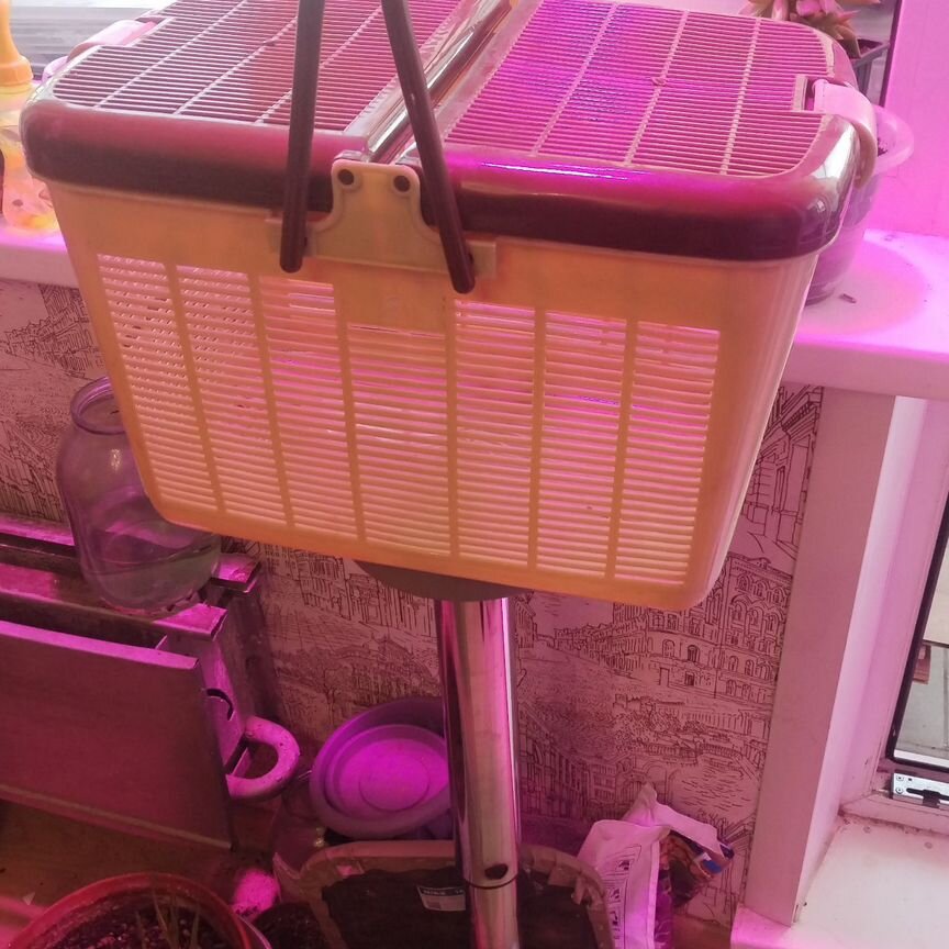 Переноска для кошек