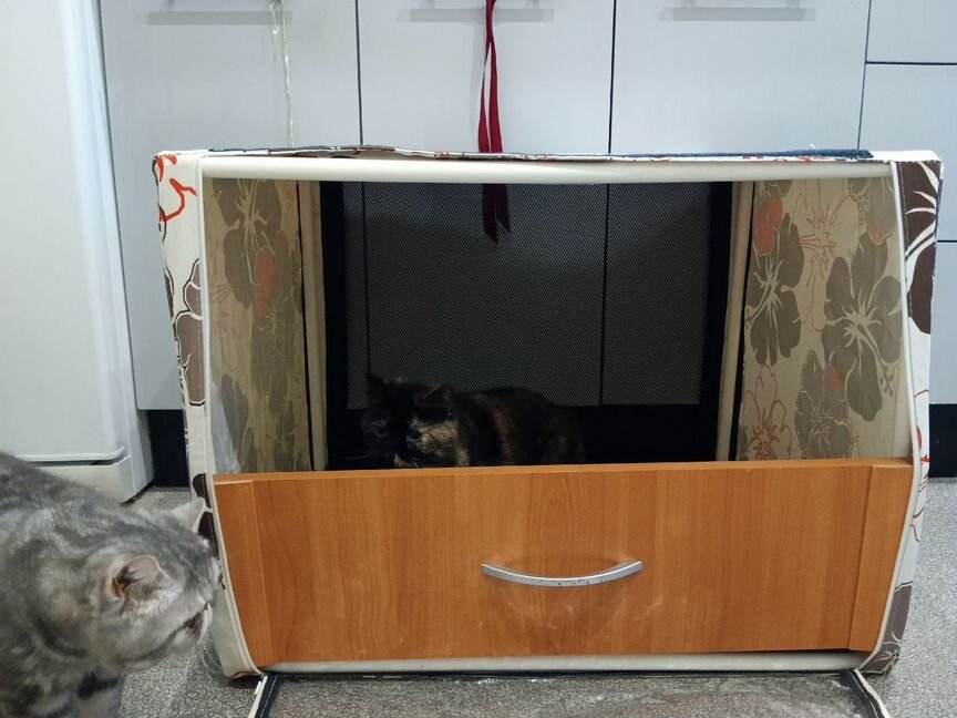 Выставочная палатка для кошек