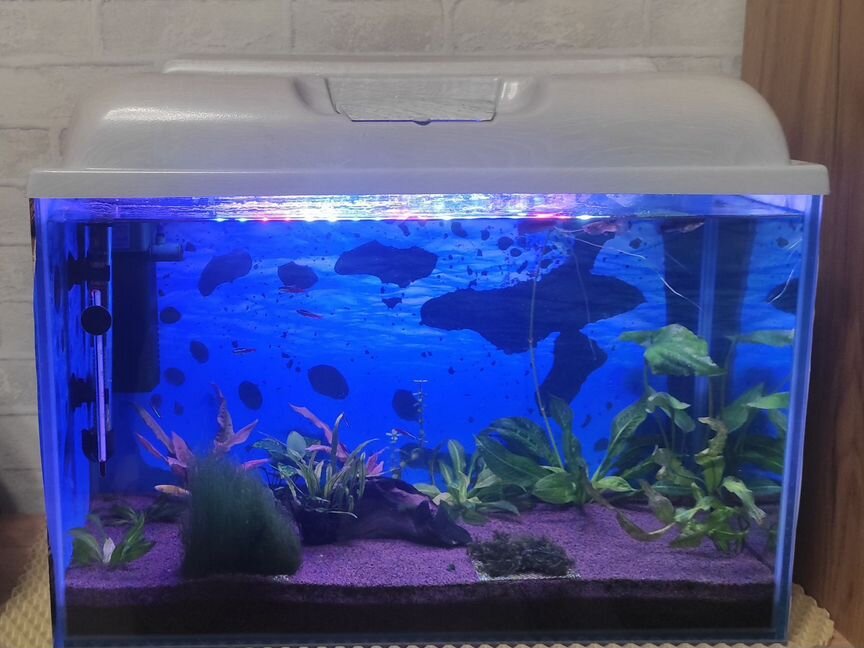 Аквариум с рыбками бу