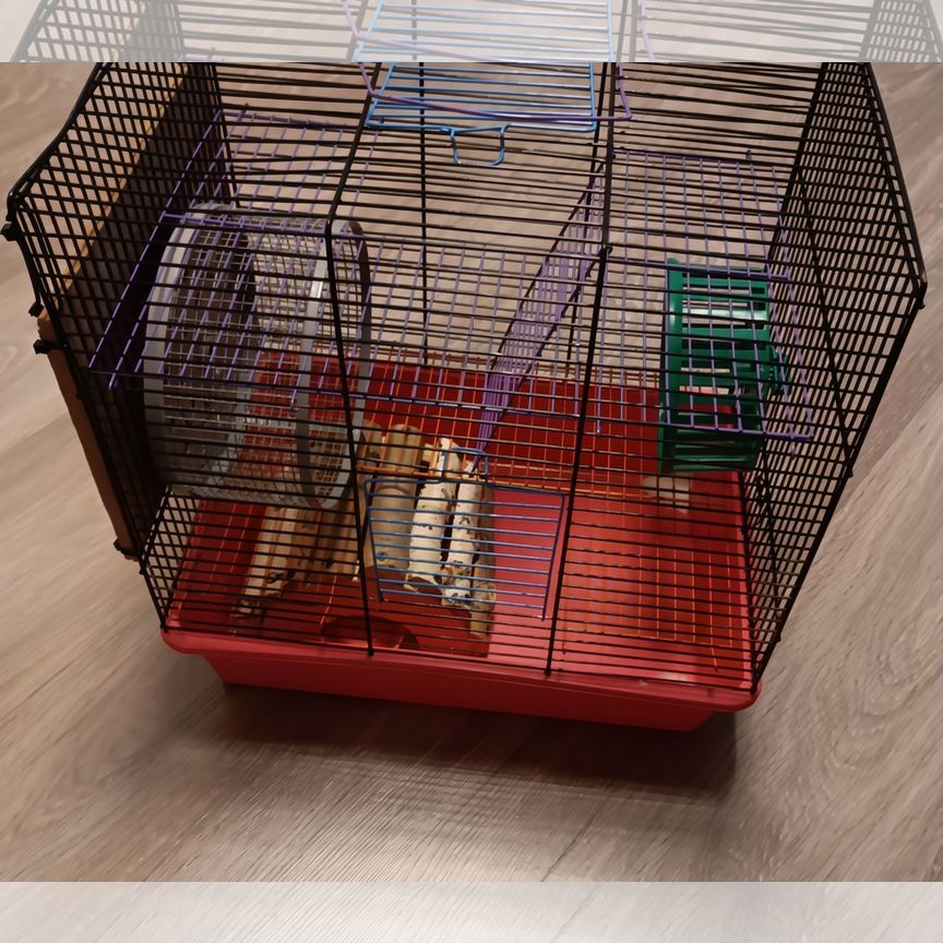 Клетка для хомяка бу