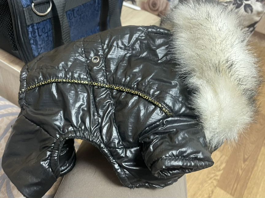 Куртка для маленькой собаки/Кронштейн для груминга