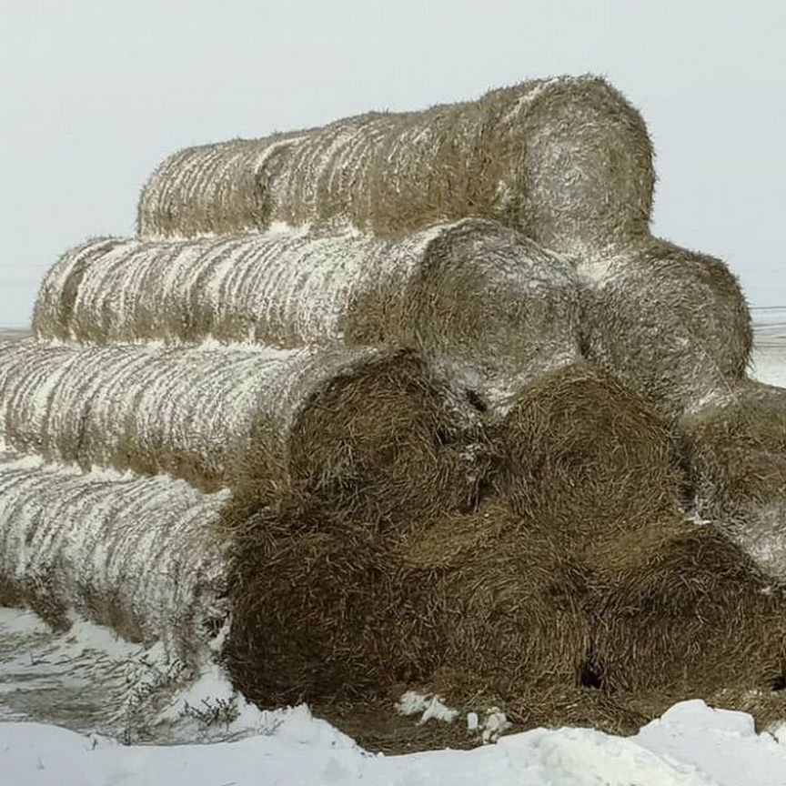Солома в рулонах