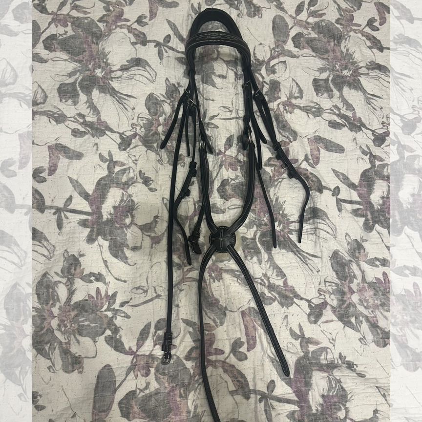 Мексиканская уздечка