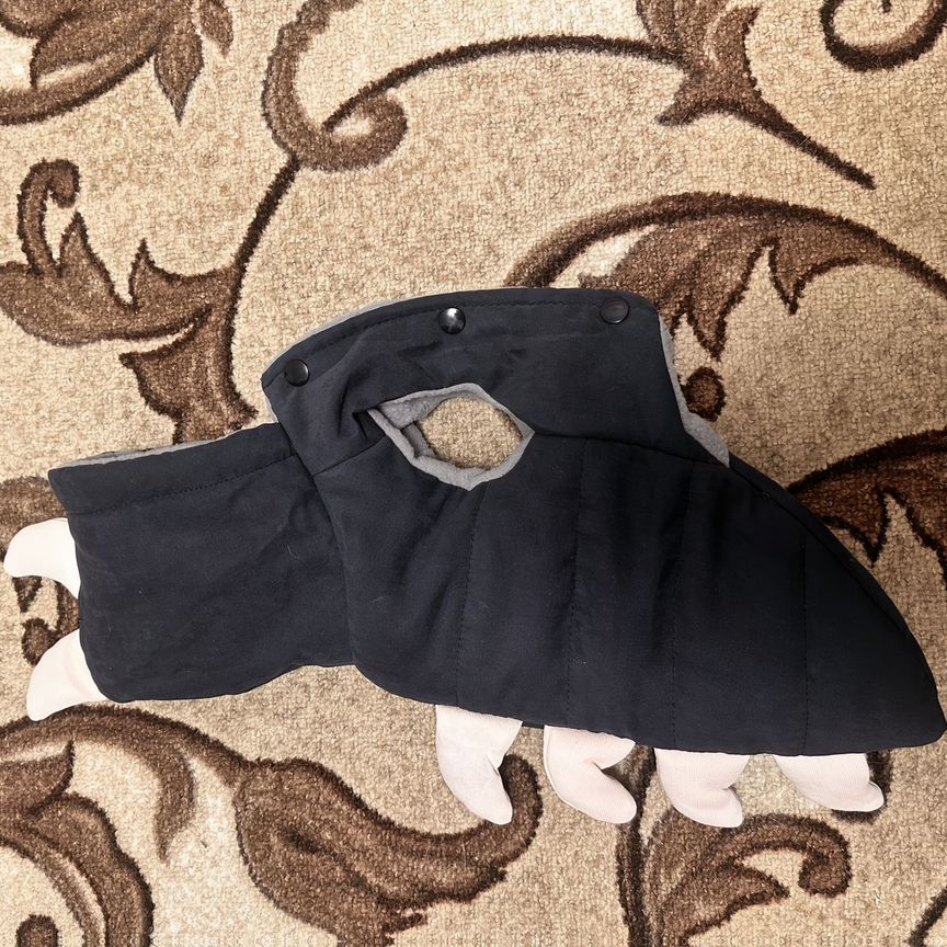 Одежда для собак