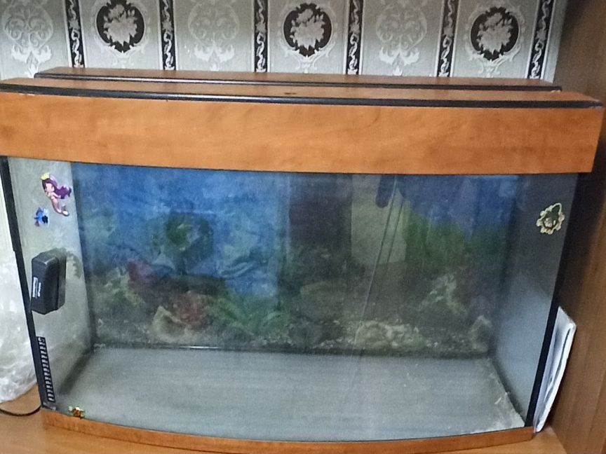 Аквариум