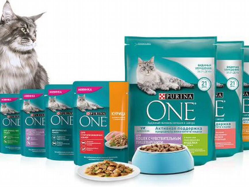 Влажный/Сухой корм Purina ONE бесплатная доставка