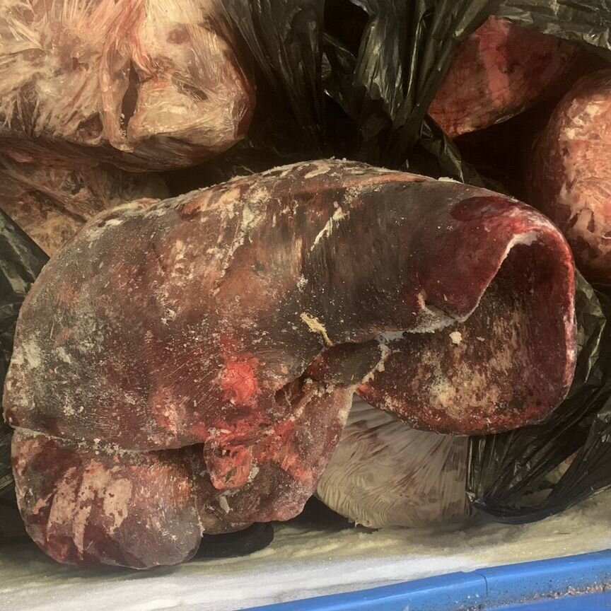 Печень говяжья и мякоть пашина для собак