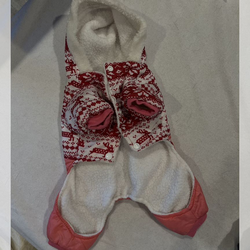 Одежда для собак