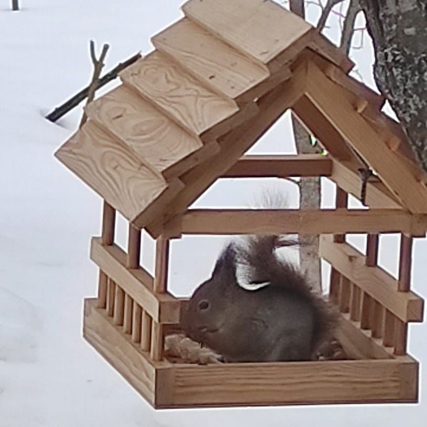 Кормушка для птиц и белок