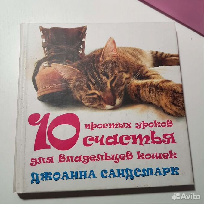 10 простых уроков счастья для владельцев кошек