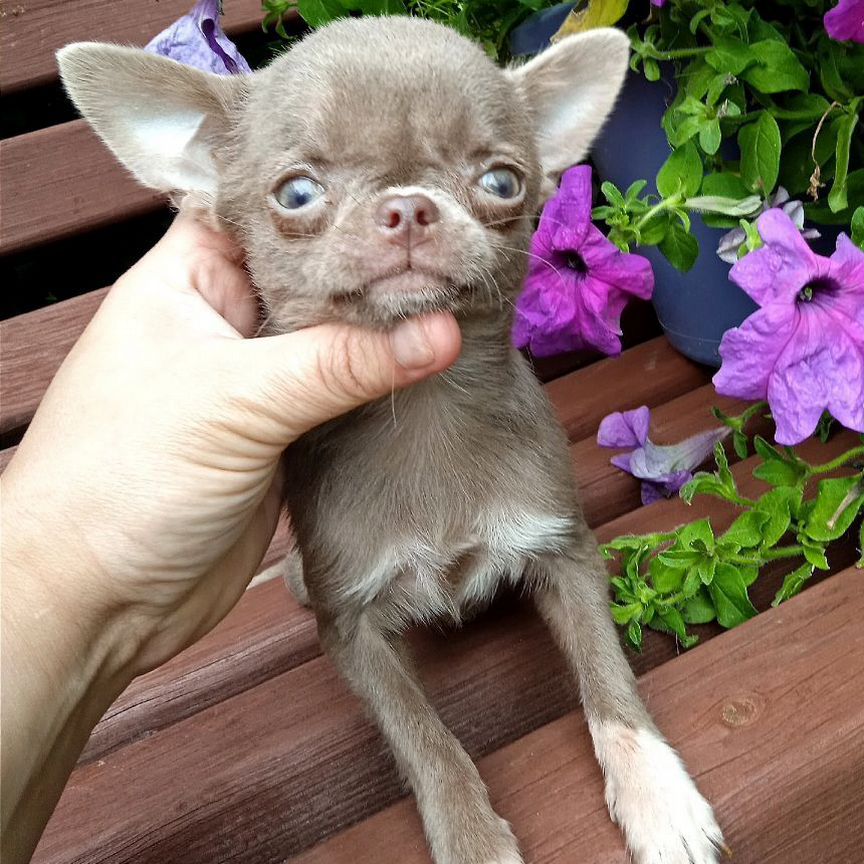 Супер мини девочка