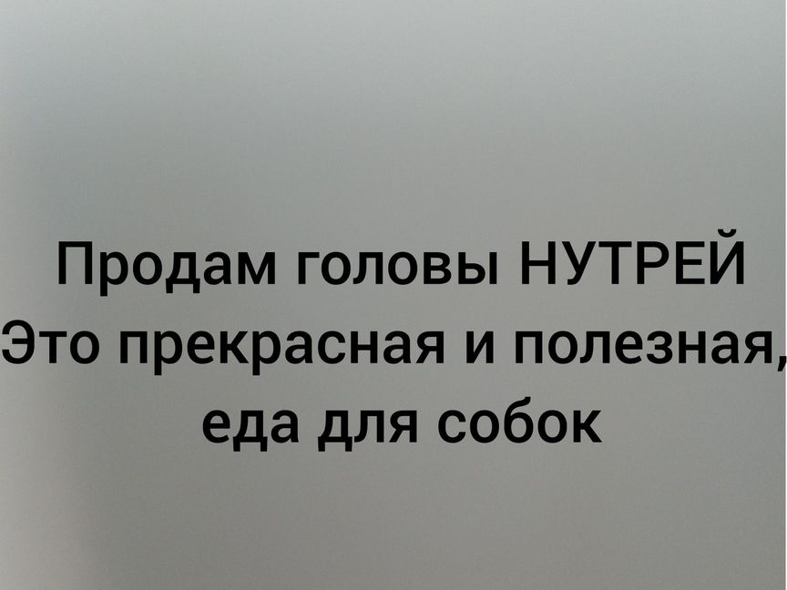 Еда для собак
