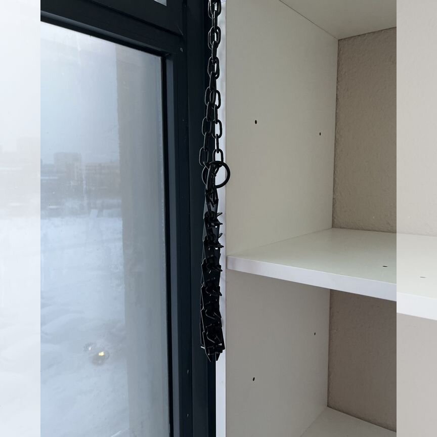 Вещи для собак до