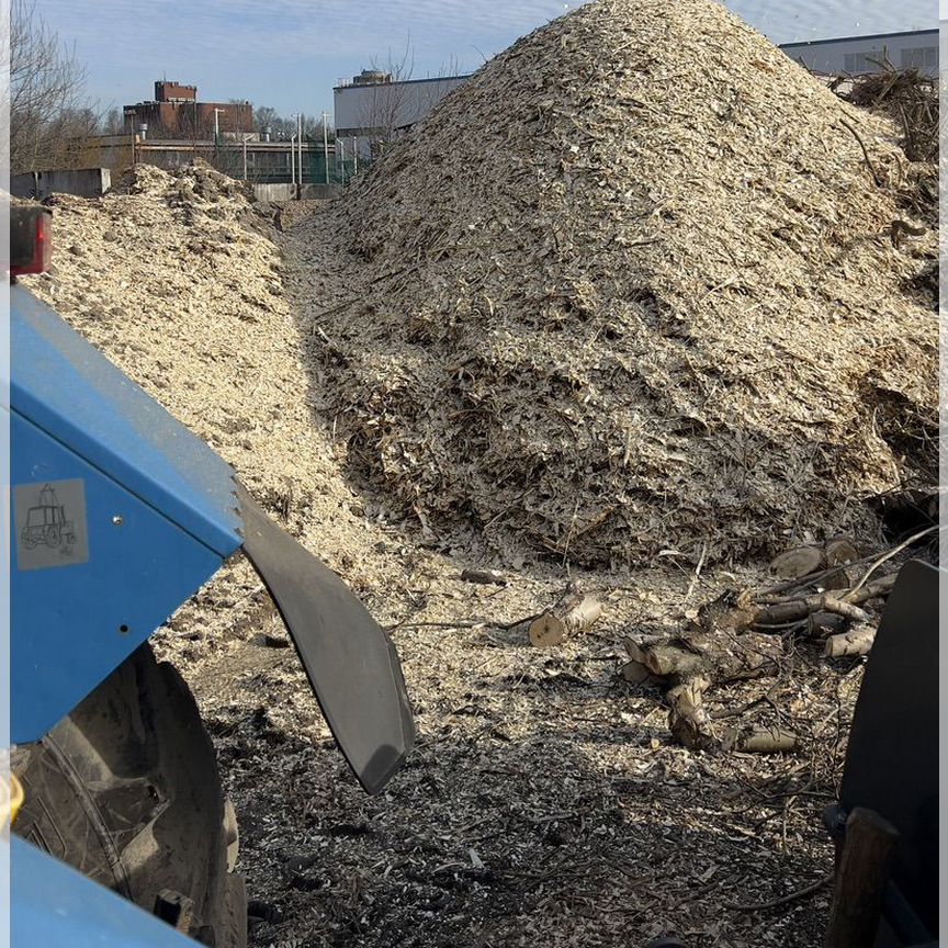 Древесная щепа