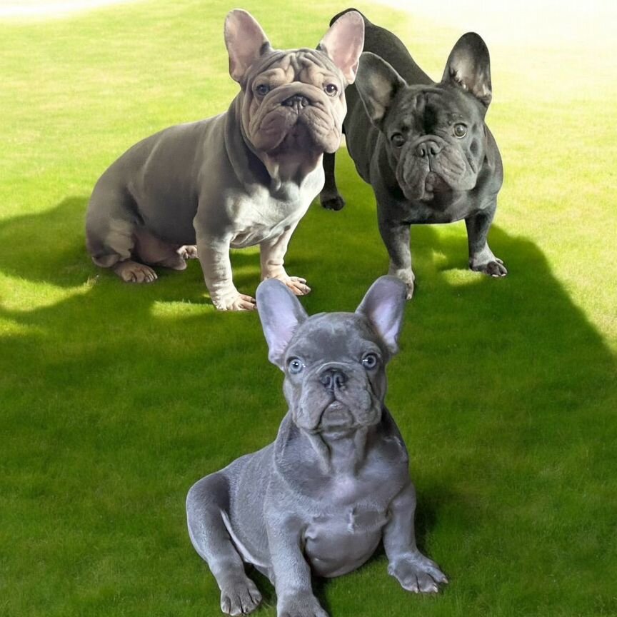 Лиловый щенок, 2 месяца