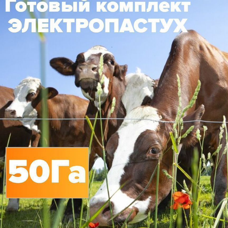 Комплект электропастух 50 Га