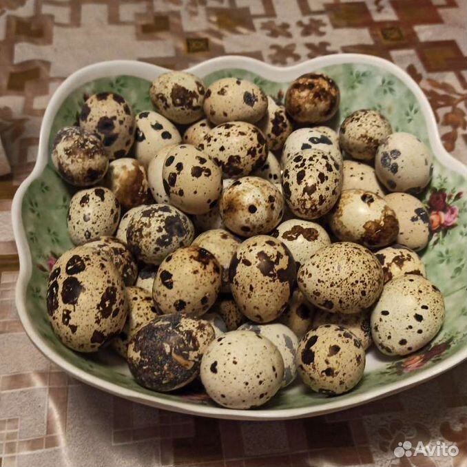 Яйцо перепелиное инкубационное