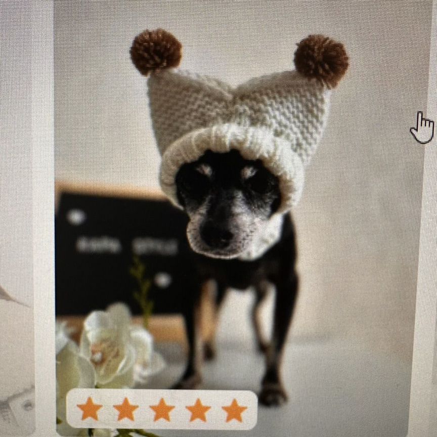 Шапочка для собак