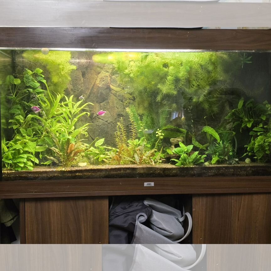 Аквариум с тумбой и с содержимому 350л