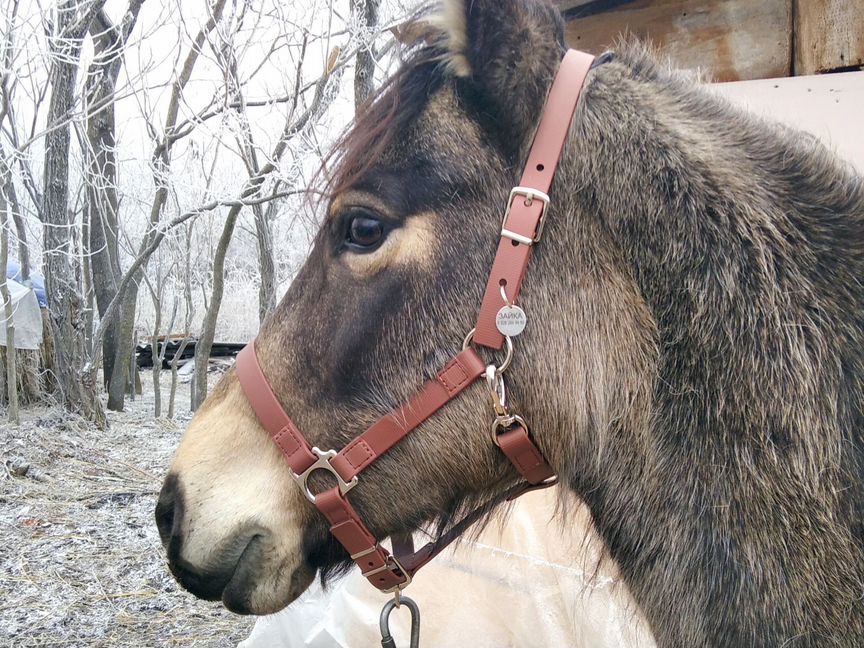 Биотановый недоуздок