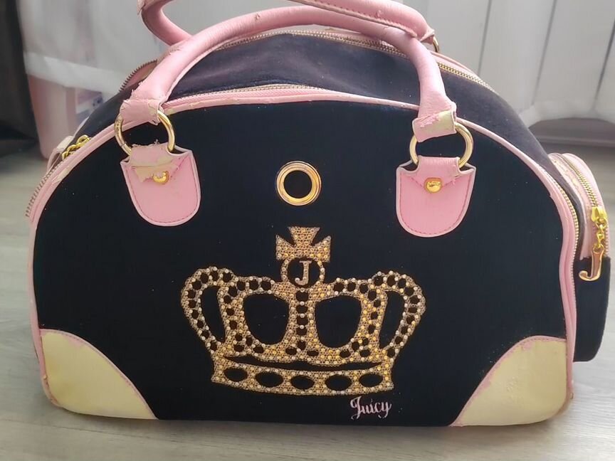 Переноска для собачки, кошечки бесплатно