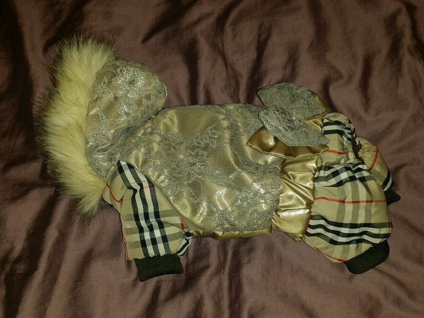 Комбинезон для щенка