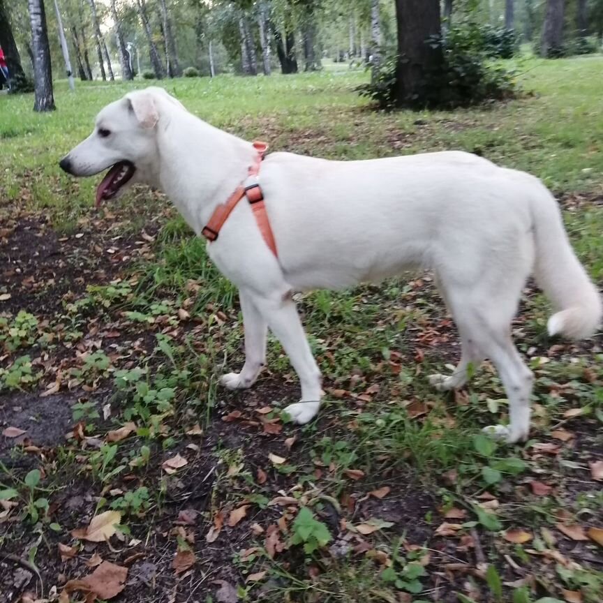 Активная девочка 11 месяцев